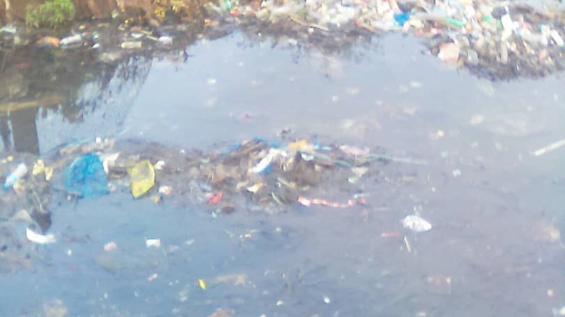 How the Danube Became Europe's Most Polluted Major River