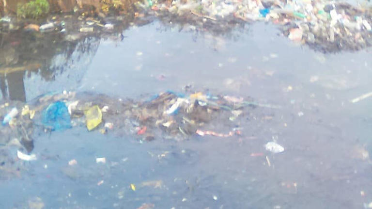 How the Danube Became Europe's Most Polluted Major River