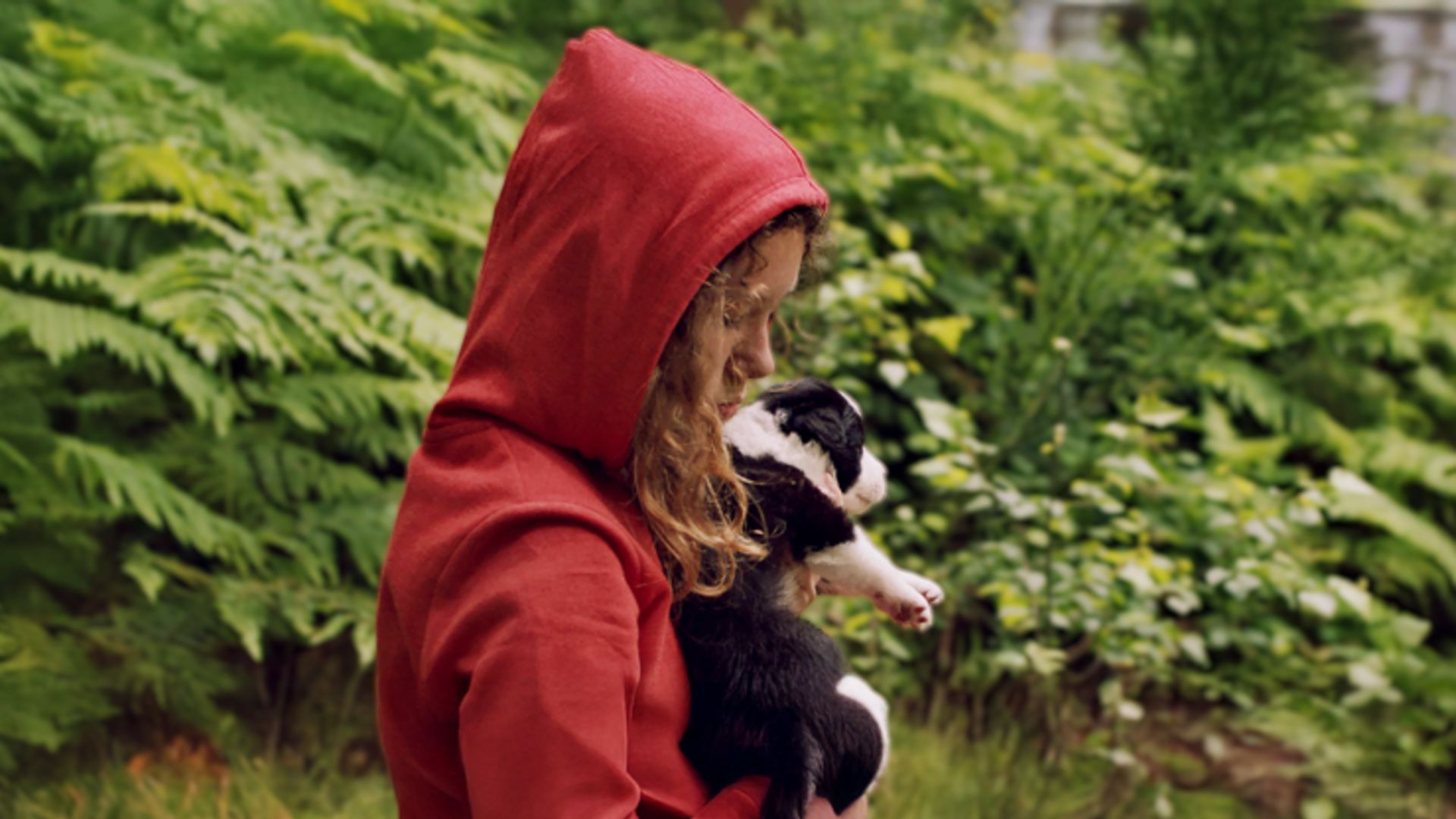 Gratis op NPO Start: deels waargebeurde film 'Vind Die Domme Trut en ...