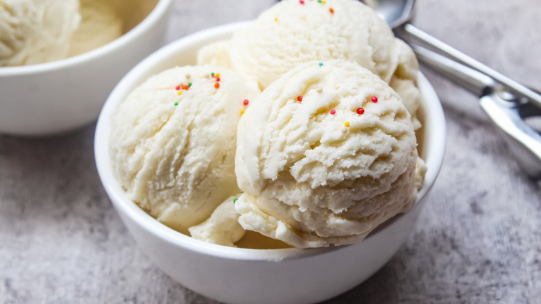 French Vanilla Vs Vanilla Bean Ice Cream: What's The Difference?