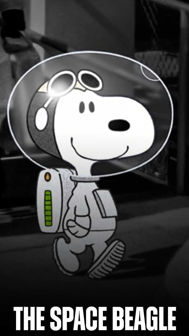 Did NASA Really Send Snoopy to Space?