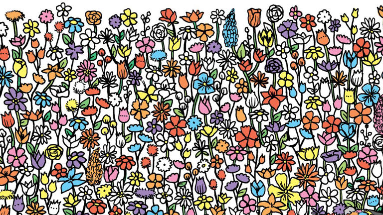 You Have 200+ IQ If You Can Spot 5 Butterflies Hidden Among Flowers In ...