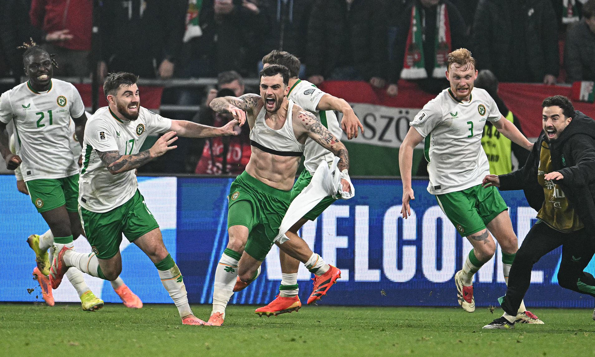 The pluck of the Irish! Drama as Ireland seal World Cup play-off spot ...