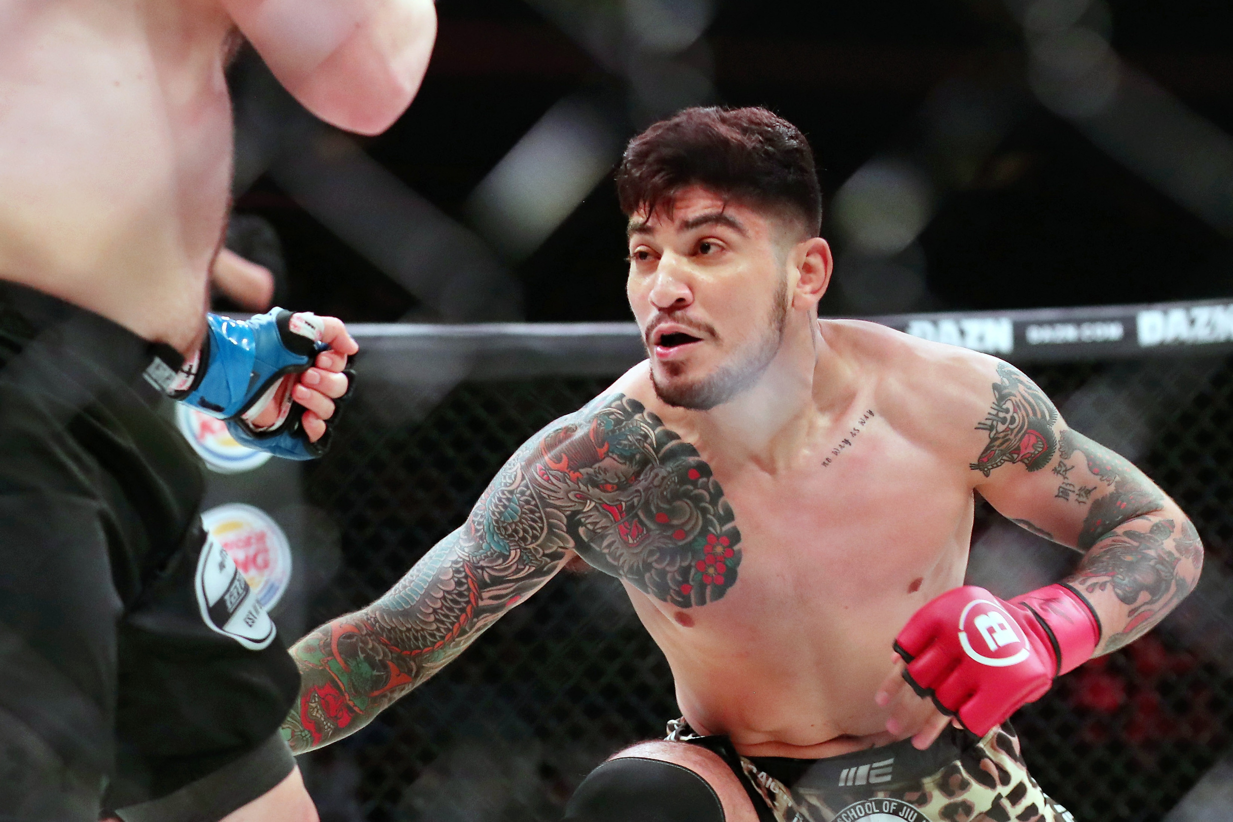 Massive Brawl Erupts at UFC 322 as Dillon Danis Clashes With Team ...