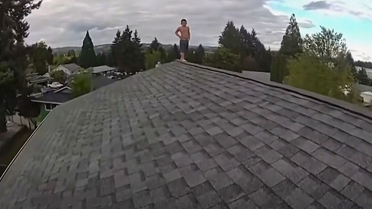 Oregon officers rescue autistic boy stuck on home's roof
