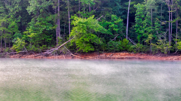 A Peaceful Lake Hidden In Georgia's Blue Ridge Mountains Is An ...