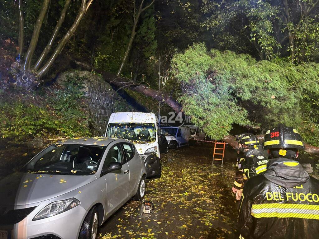 Maltempo a Genova, allagamenti e alberi caduti: chiusa e riaperta via ...