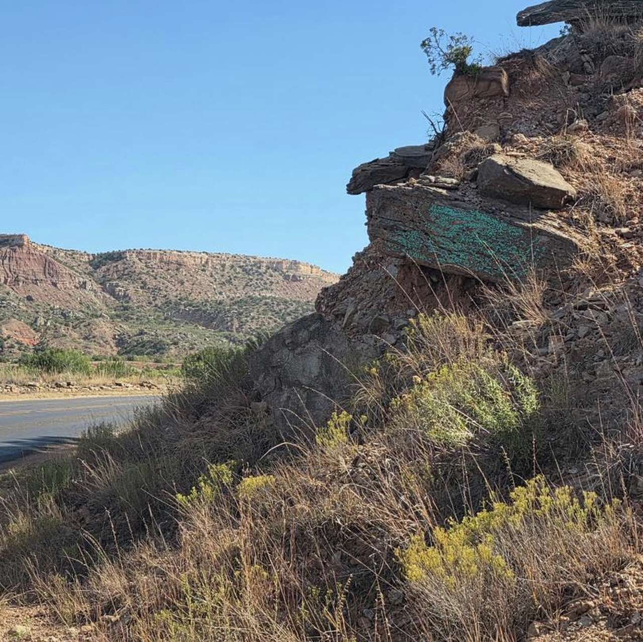 Texas park officials sound the alarm after graffiti scars found