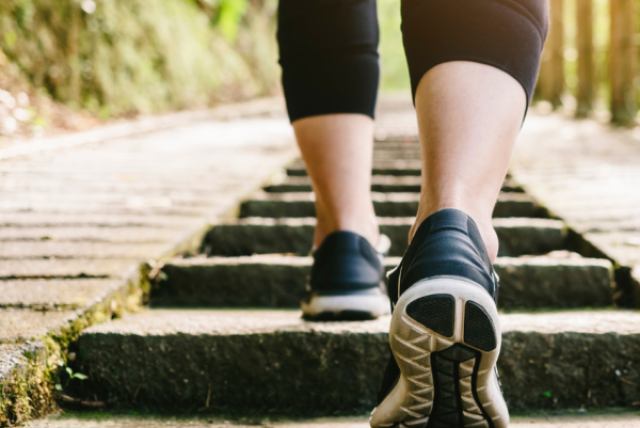 Expertos de Harvard: caminar es bueno a partir de los 60, pero es mejor ...