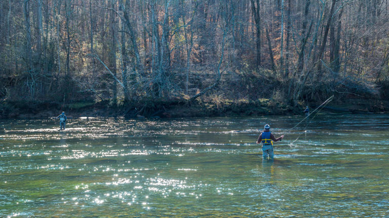 A Peaceful Lake Hidden In Georgia's Blue Ridge Mountains Is An ...