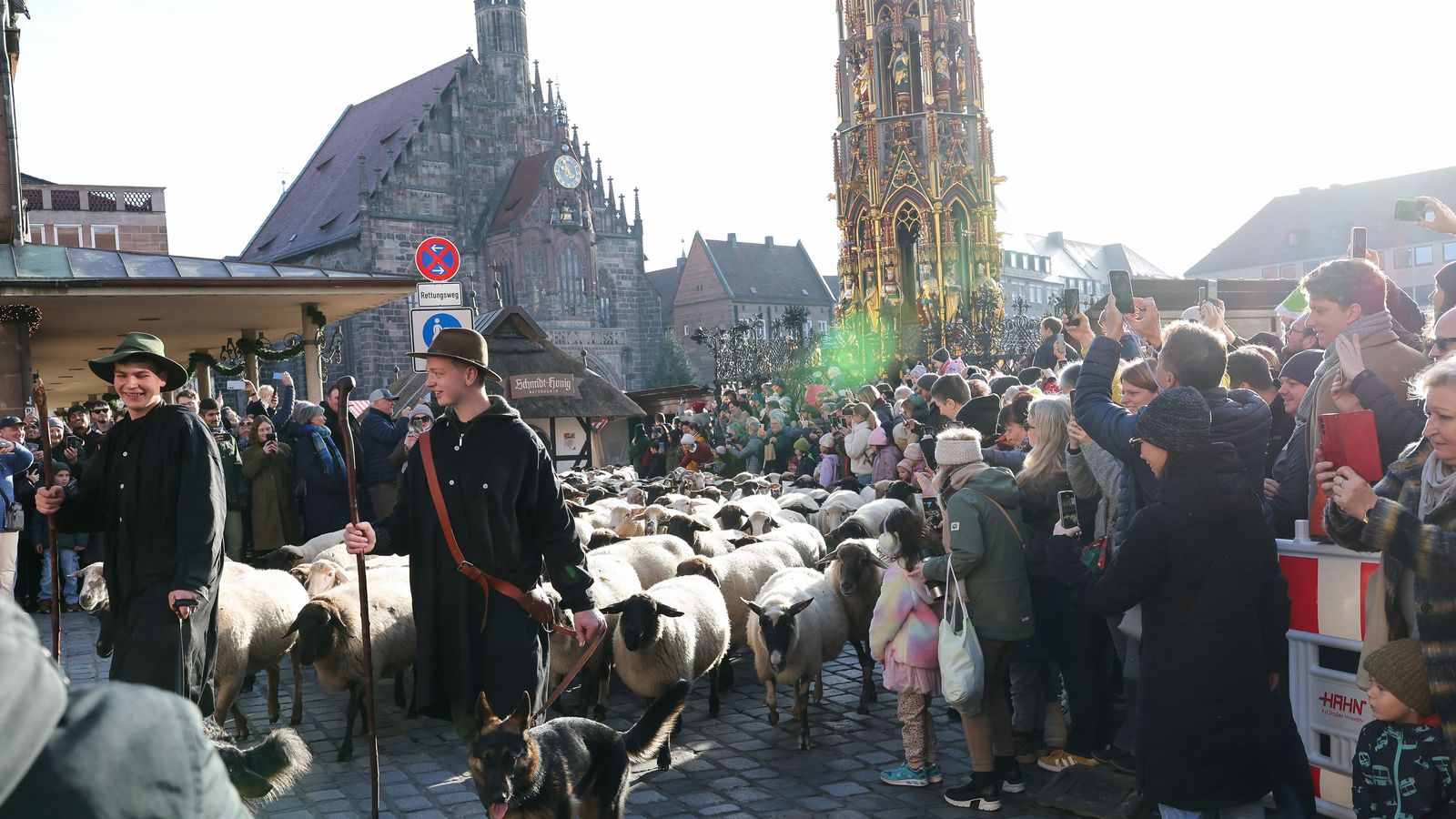 Hundreds of sheep pass through German city