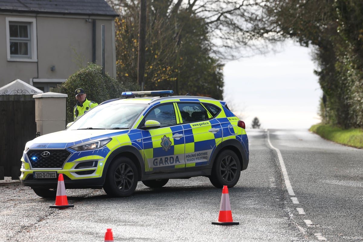 Five young people who died in Co Louth crash named