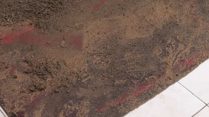 Satisfactoriamente Limpio: Alfombra Manchada Revivida