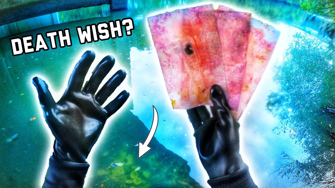 I found a chilling surprise while diving!