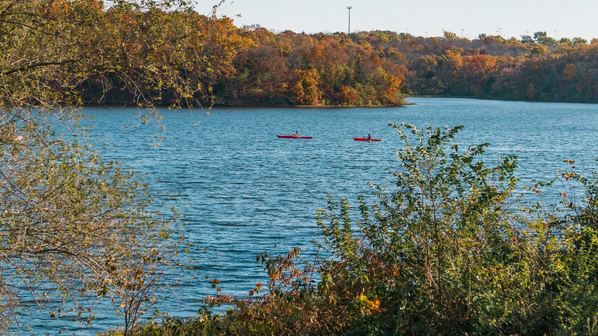 Kayakfahrerin entdeckt extrem seltenes gesprenkeltes Tier zwischen ...