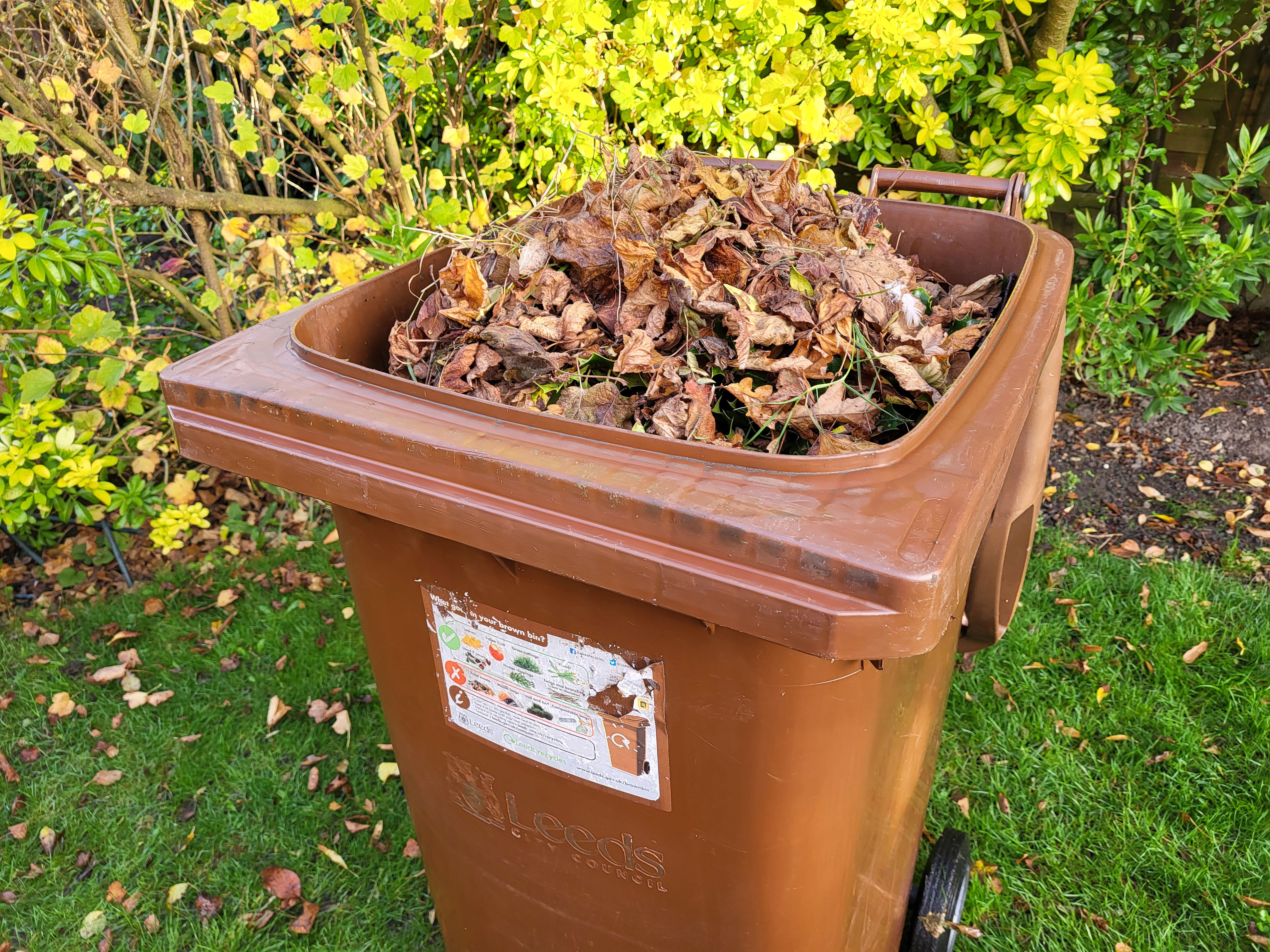 Here's when final collections for brown garden waste bins will happen ...