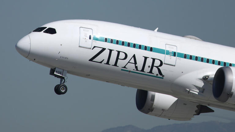 Why Boeing Noses Are So Pointy And Airbus Noses Are So Round