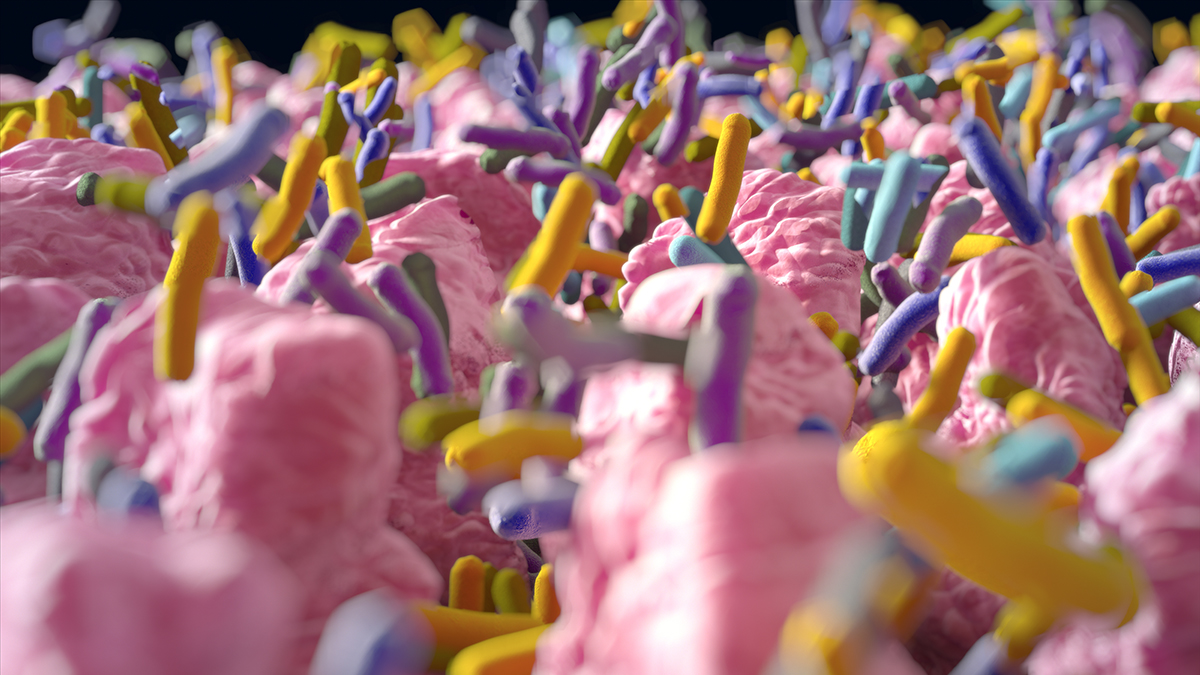 A Crucial Genetic Mutation Behind Crohn's Disease Has Finally Been Revealed