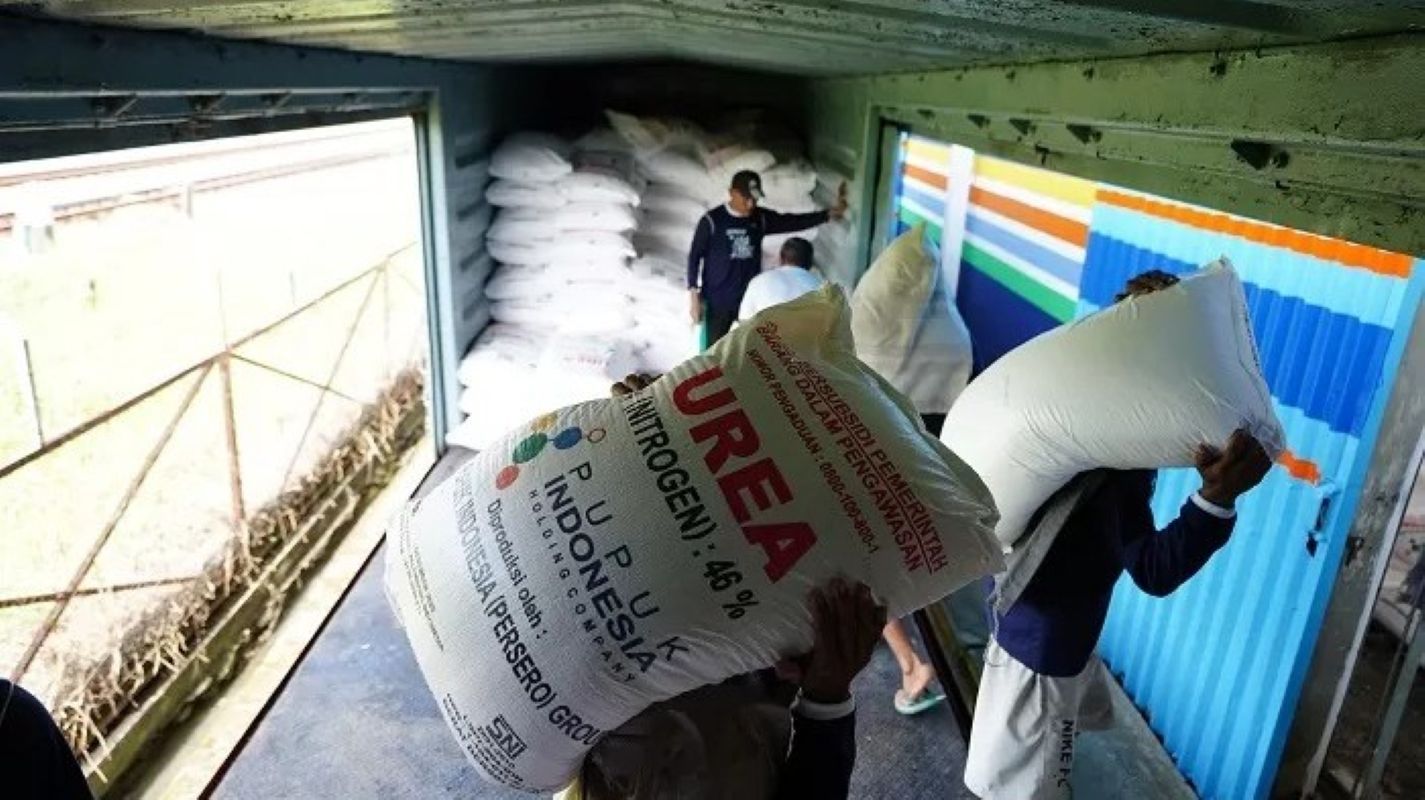 CIPS Sarankan Penyaluran Pupuk Subsidi Diubah ke BLT Demi Tingkatkan ...