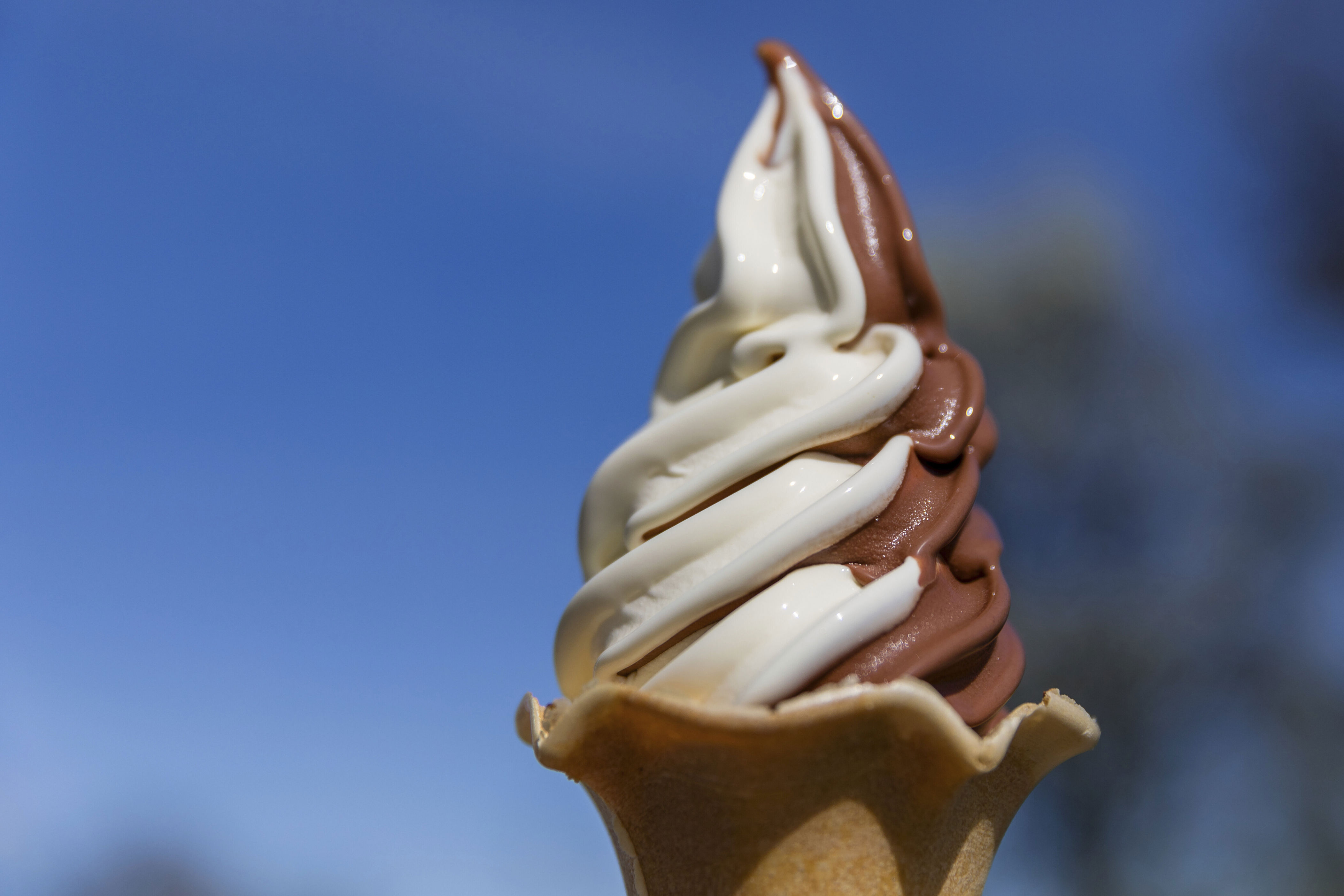 Dairy Queen rival files for bankruptcy