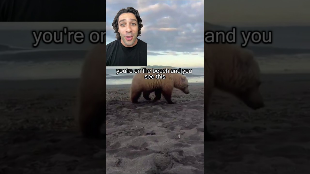Grizzly bear walks by man with cubs—what to know for safety