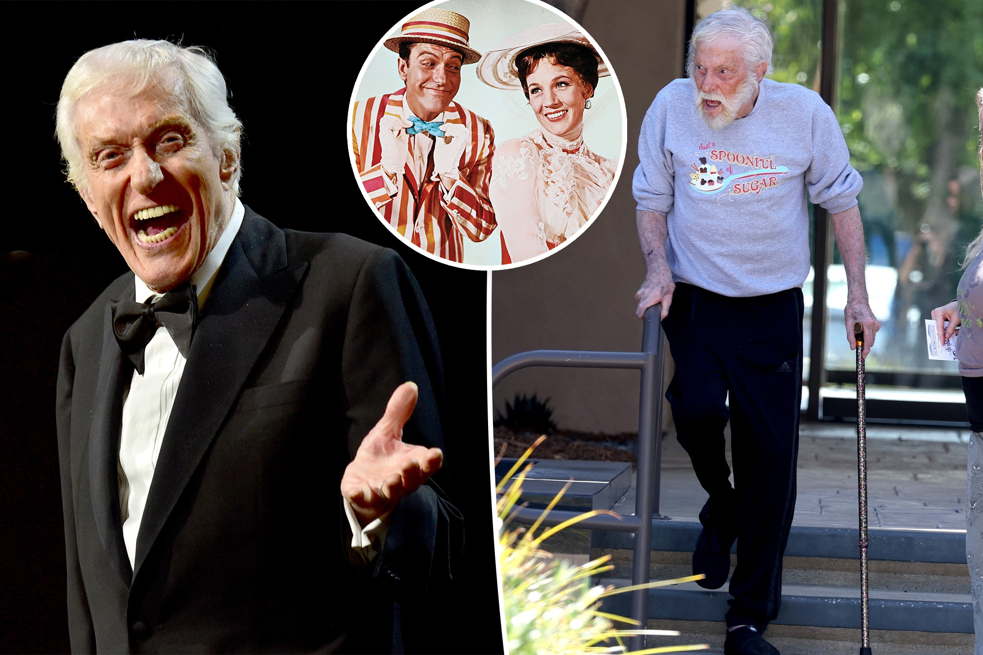 ‘Diminished’ Dick Van Dyke shares concerning health update ahead of his ...
