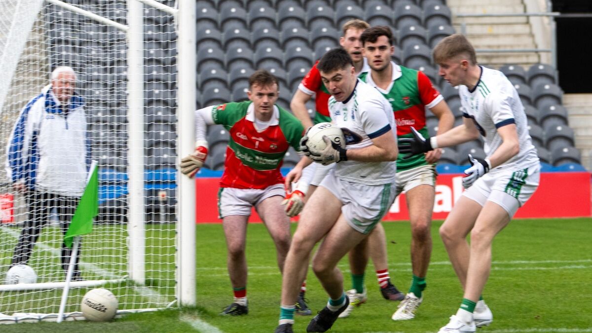 As it happened: Werner grabs late, late winner as Ballinora pip Ilen ...