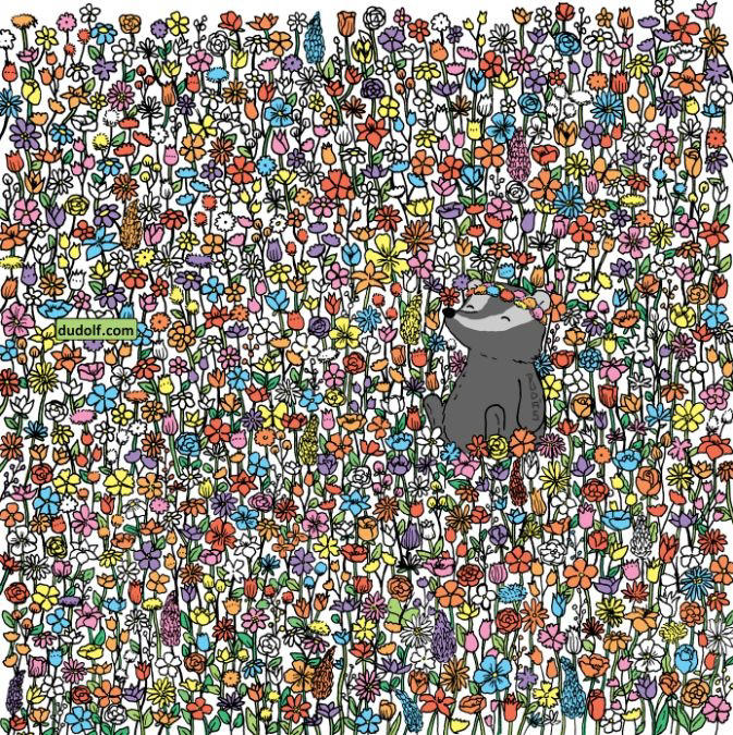 You Have 200+ IQ If You Can Spot 5 Butterflies Hidden Among Flowers In ...