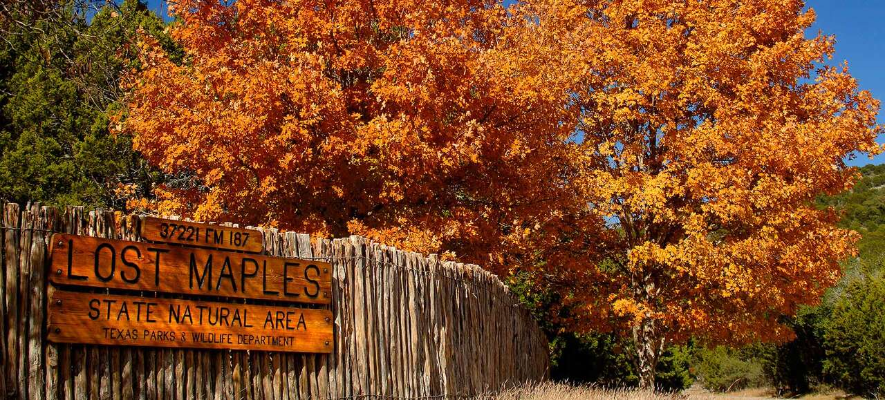 Central Texas' best fall hiking spots to see actual colors