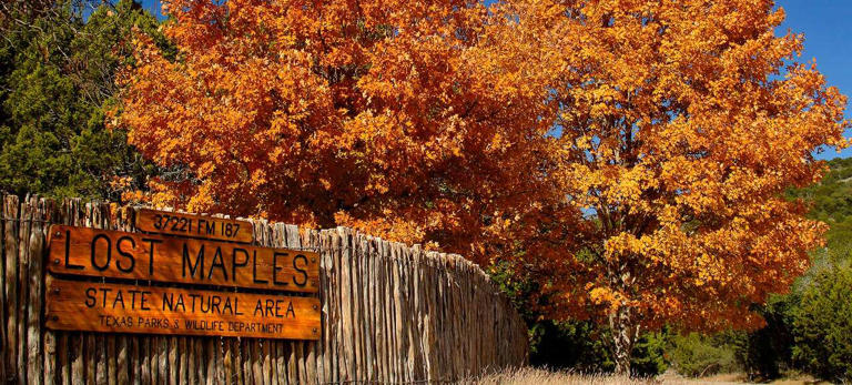 Central Texas' best fall hiking spots to see actual colors