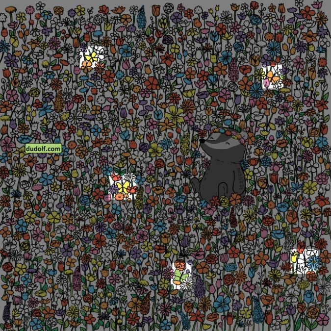 You Have 200+ IQ If You Can Spot 5 Butterflies Hidden Among Flowers In ...