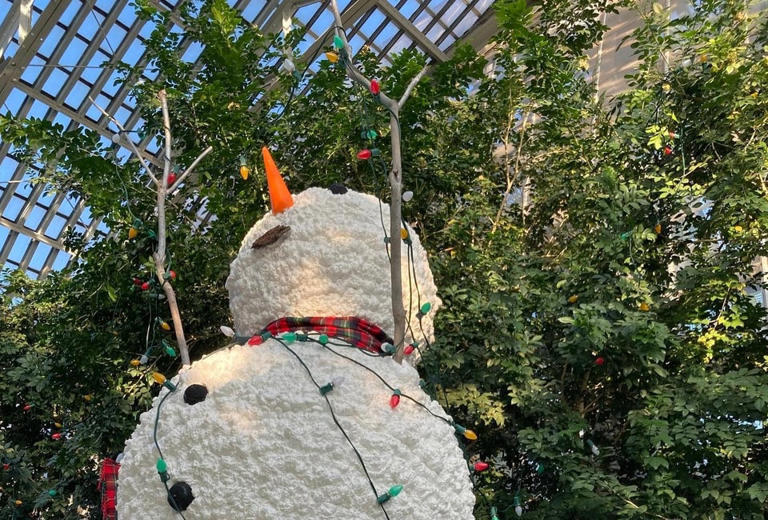 What's Open on Thanksgiving in Chicago? Places Open for Family Fun