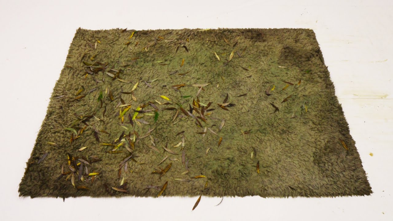 Nature’s effect on a carpet forgotten for years