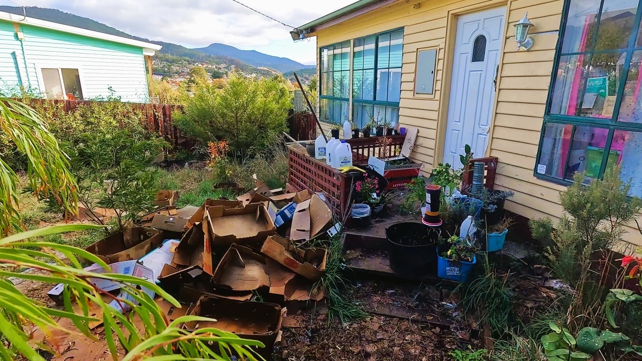 Don't make this big mistake in your yard!