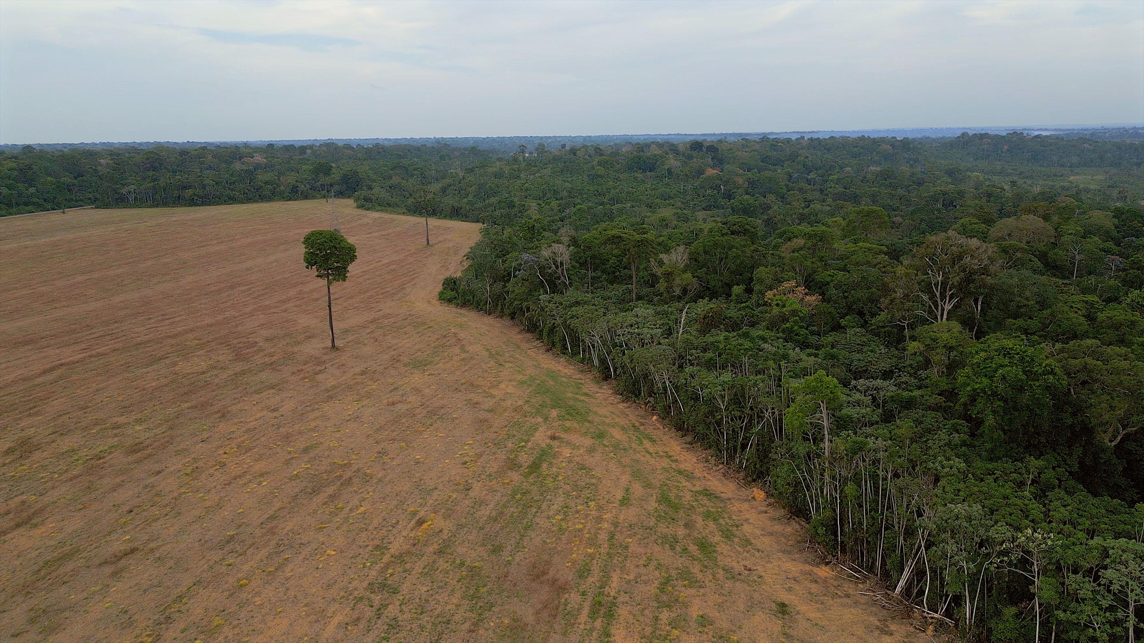 Brazil's Amazon rainforest at risk as key protection under threat