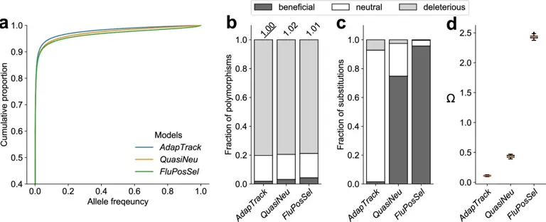 Researchers reveal a groundbreaking new theory of evolution