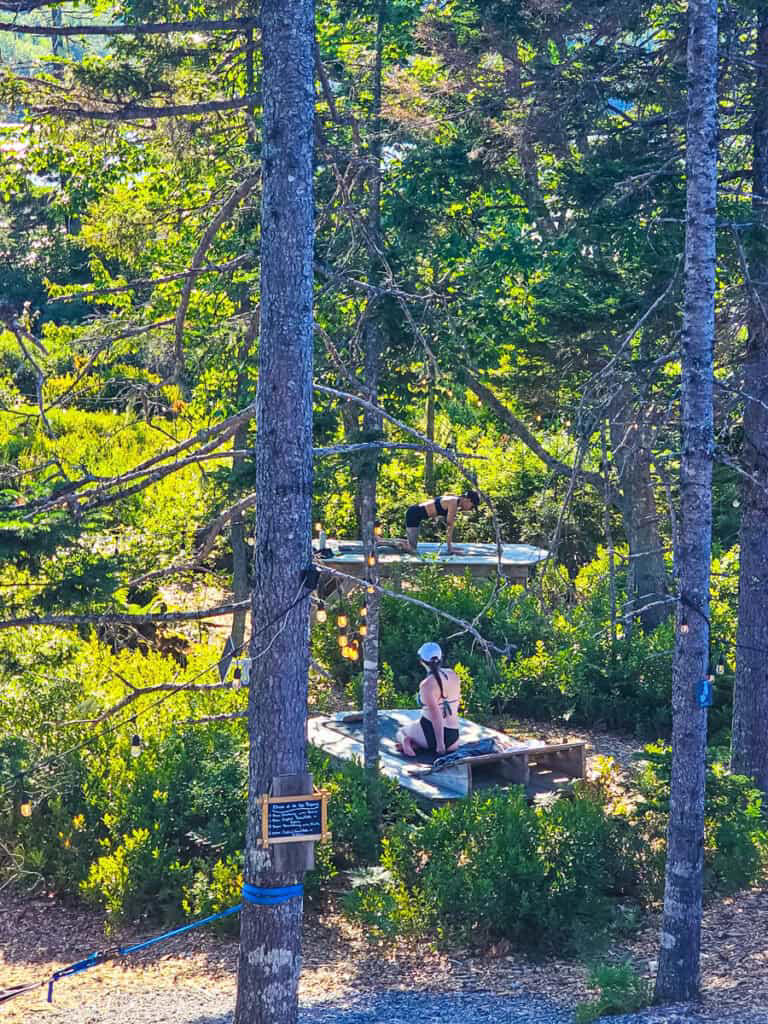 Sensea Nordic Spa: A Journey Into Forest Calm in Chester, Nova Scotia