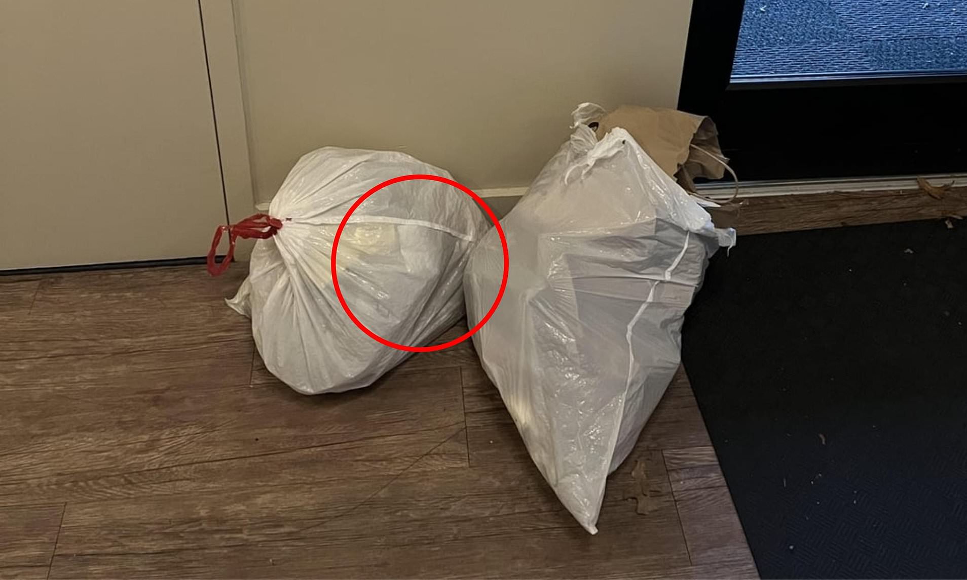 No one knew who was dumping trash around the apartment... until ...