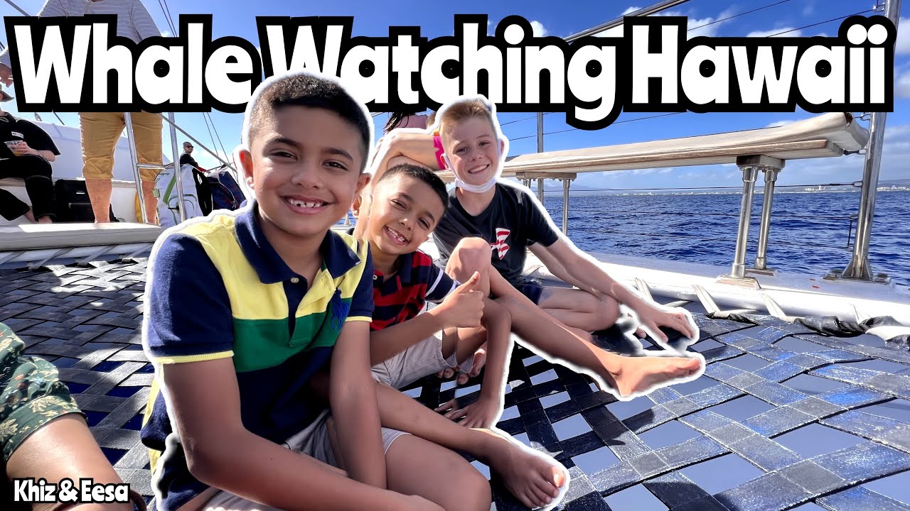 Honolulu Whale Watching Experience – Pink Sails Groupon Review