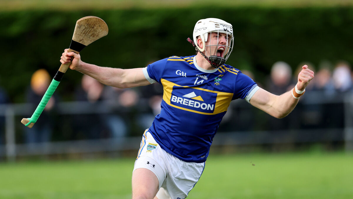 Early Éanna O’Hanlon goal helps send Kilshannig into decider