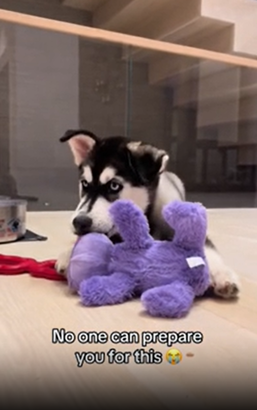 Take Your Time, Don’t Grow Up Too Fast