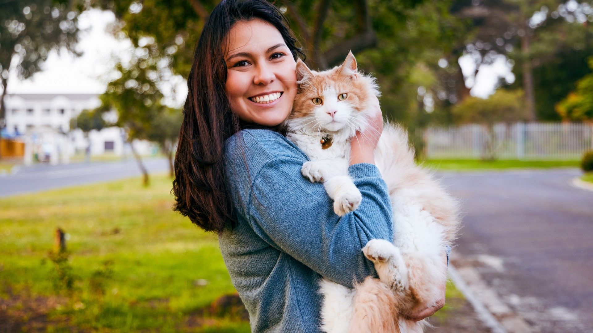 Tips for taking care of a large-breed cat