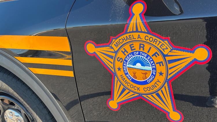 Multiple dogs rescued from Hancock County home during search warrant