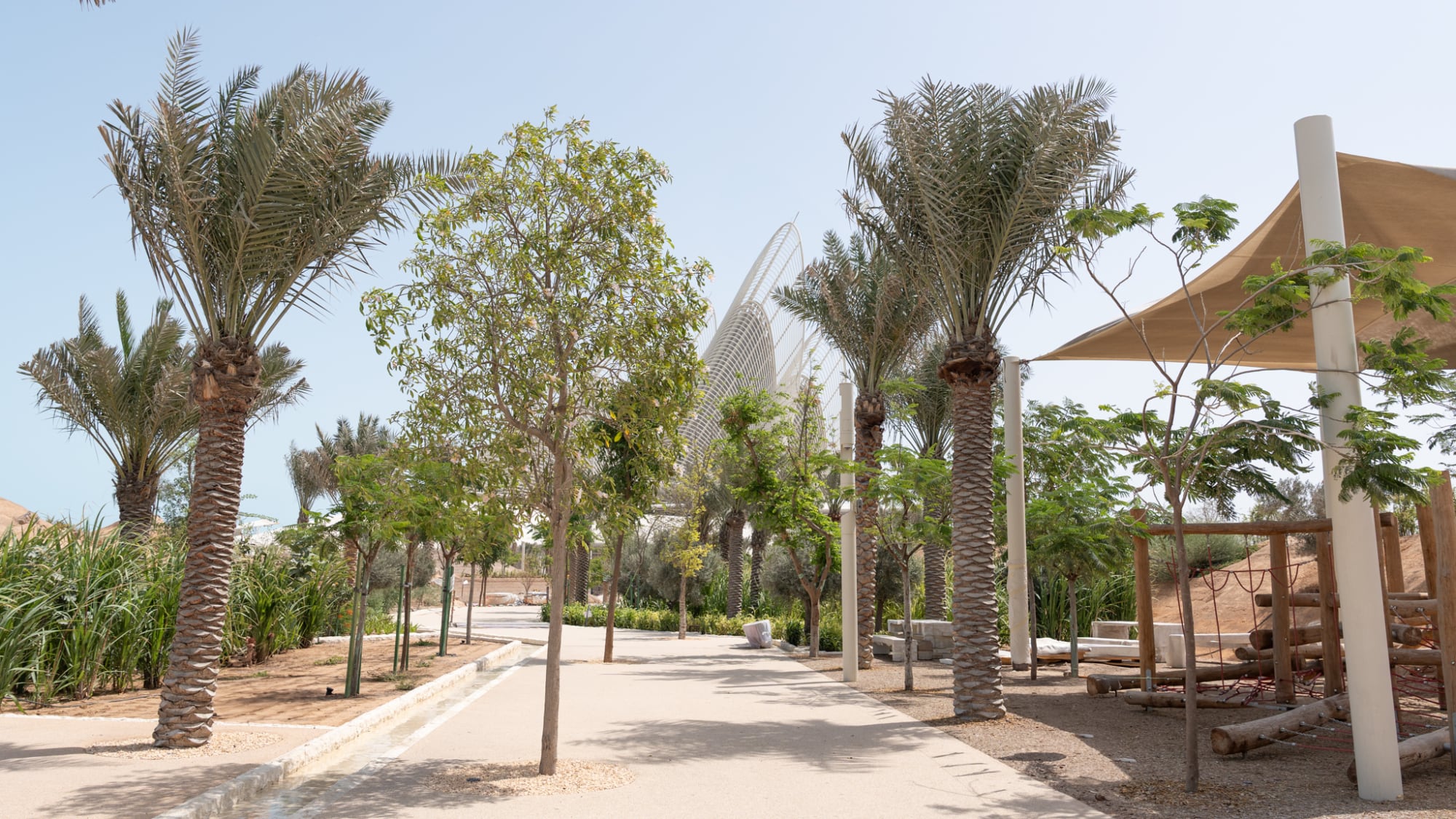 Zayed National Museum’s garden traces the UAE’s roots through the ghaf tree