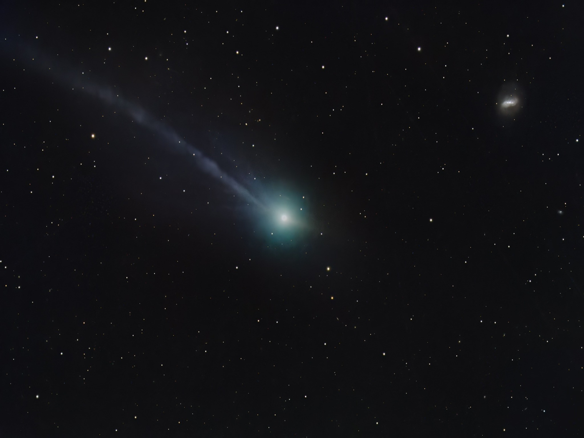 Interstellar comet 31/ATLAS moving away from the Sun: When and where to ...