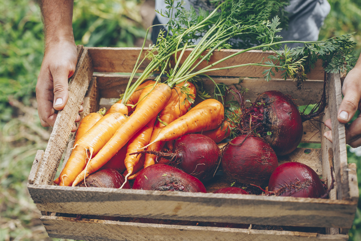 Here’s Exactly What Happens to Your Body When You Eat Beets Every Day