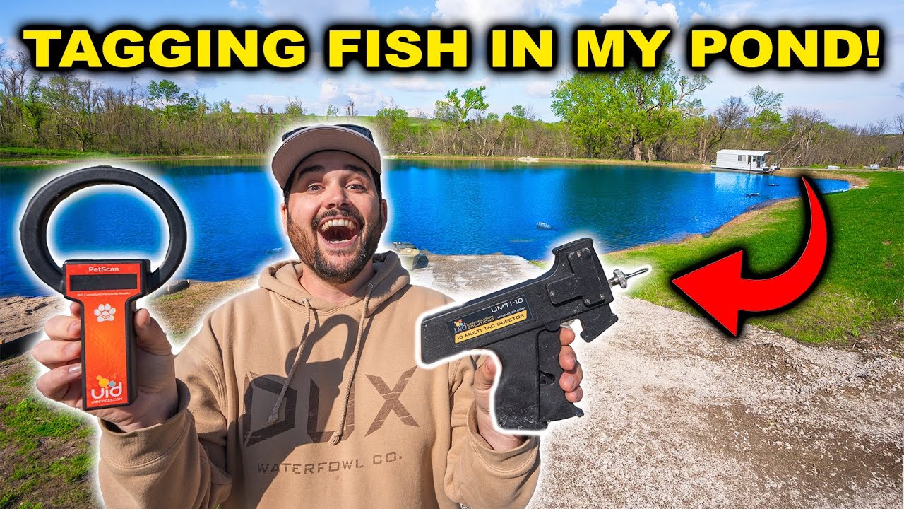 Catching and tagging a hard-to-find bass nearby