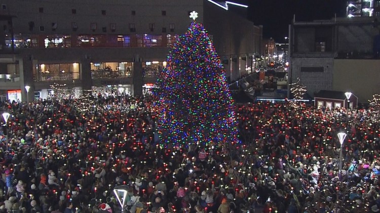 A tree-mendous day: Boise's holiday tree is coming to town