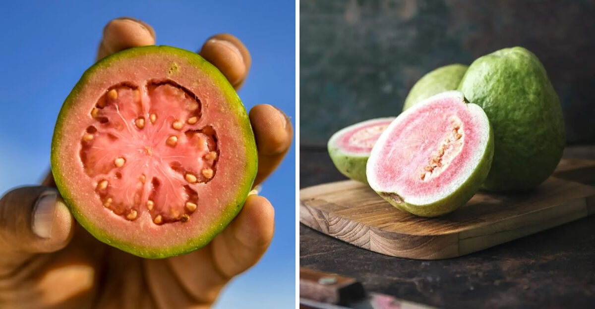 16 Powerful Health Benefits Of Adding Guava To Your Diet