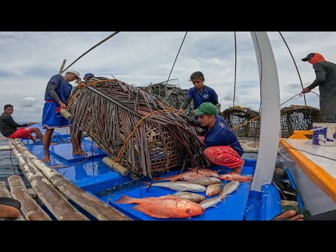 Old traps catching beautiful fish